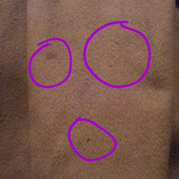 Bert Newman | Jackets & Coats | Bert Newman Petite Vintage Hidden ...